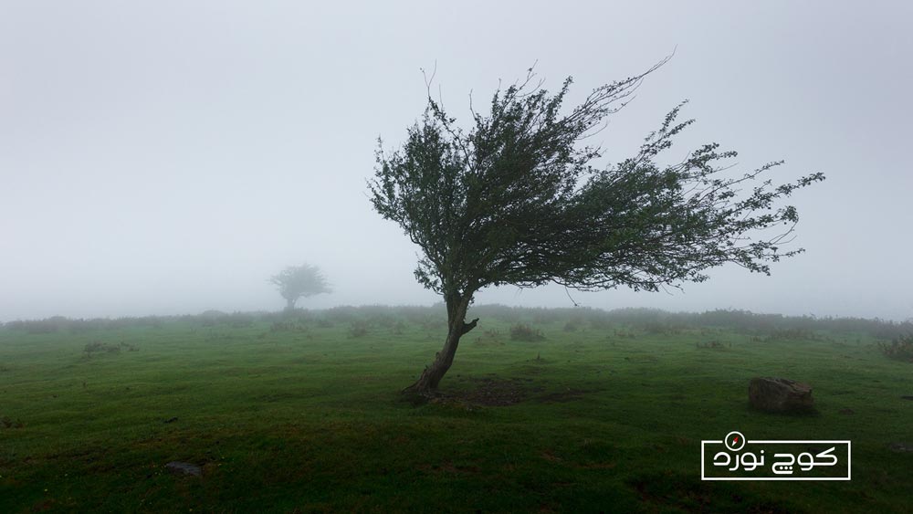 باد غالب یا باد بیش‌وز یکی از روش‌های جهت‌یابی در آسمان شب | جهت‌یابی ...